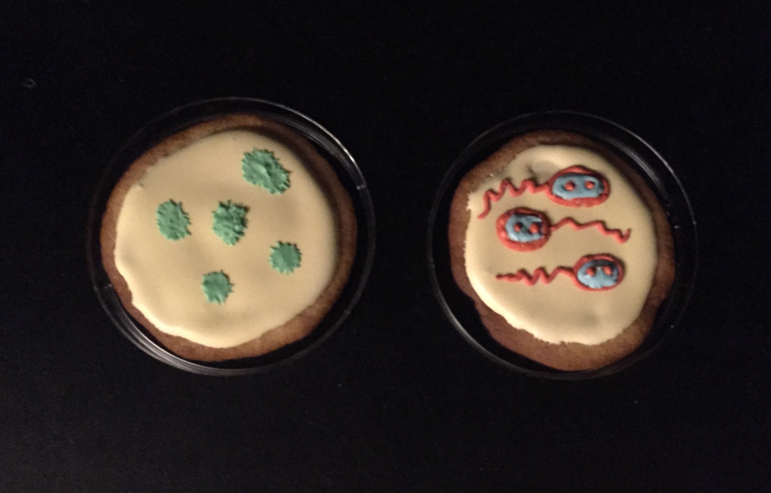 Celebrate the Big & Small | simply detailed projects | Page 10